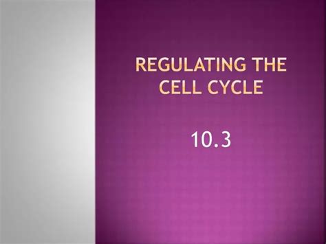 Ppt Regulating The Cell Cycle Powerpoint Presentation Free Download
