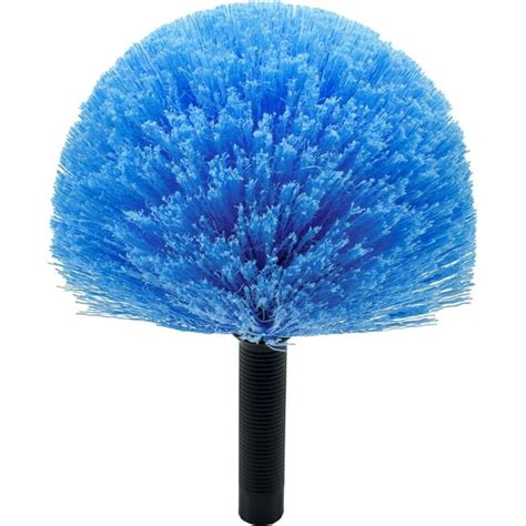 Webster Brush