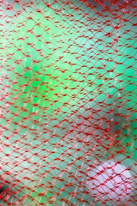 Very Close Up Shot Of Texture Detail Of Nylon Netting Wrapping Fruit Stock Image Image Of