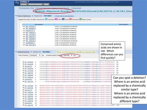 Introduction To Gene Mining Part B How Similar Are Plant And Animal