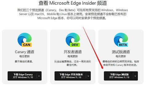 为什么我的最新版edge浏览器pdf编辑器无法添加文字，以及鼠标无法选中文字 microsoft qanda