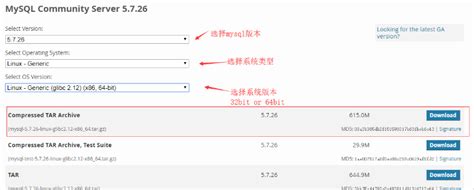 linux系统离线安装mysql 立flag网