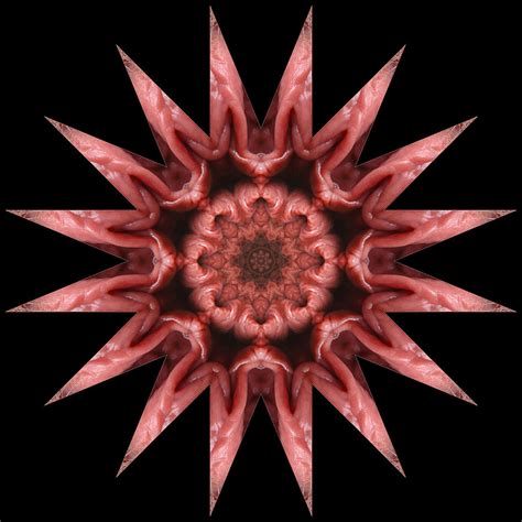 K B Sexual Mandala For Erotic Spirituality Photograph By Chris Maher