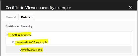 How To Properly Configure Coverity Cloud Deployment With Tlsssl