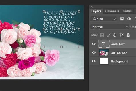 How To Use The Text Tool In Photoshop