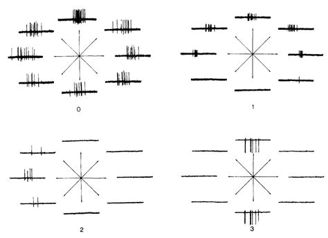 Examples Of Single Cells Belonging To Different Receptive
