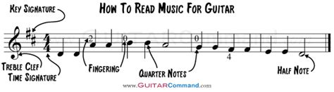 How To Read Guitar Notes For Beginners