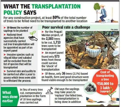 Tree Transplantation Policy Insights Ias Simplifying Upsc Ias Exam