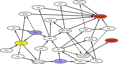 the interaction network of flt3 flt3 is represented in yellow and
