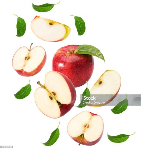 녹색 잎과 흰색 배경에 고립 된 절반을 가진 빨간 사과를 날고 있습니다 클리핑 패스 0명에 대한 스톡 사진 및 기타 이미지 0명 과일 나뭇가지 Istock