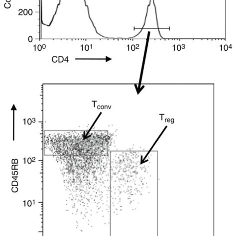 Gating Profile For Sorting T Regs And T Conv Cells The Cells Are First