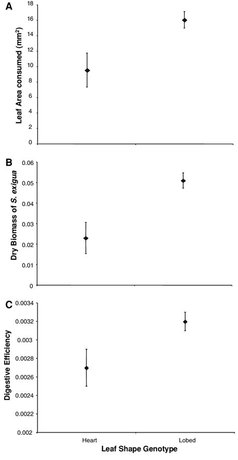Effects Of The Leaf Shape Genotype On Spodoptera Exigua Consumption Download Scientific Diagram