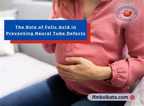The Role Of Folic Acid In Preventing Neural Tube Defects Ifm Kolkata