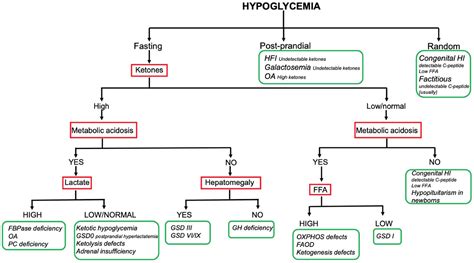 Hypoglycemia Flowchart