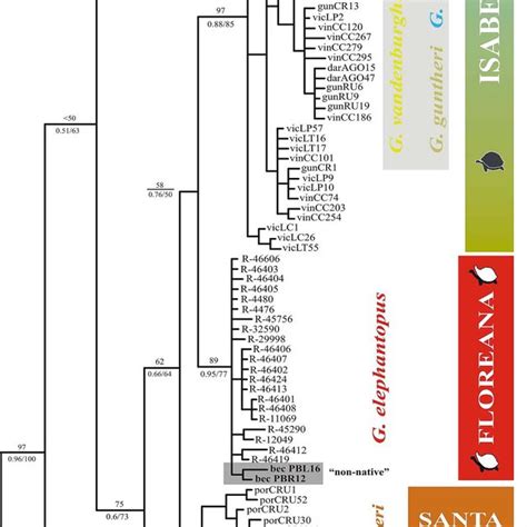 Structure Assignment Plots A A Structure Bar Plot Indicating The