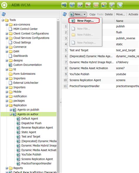 Aem Replication And Reverse Replication