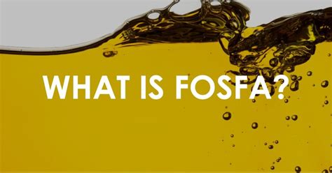 What Is FOSFA A Clear Explanation Of FOSFA And Its Role