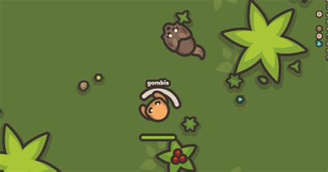 Tamingio Mainkan Di Gombis