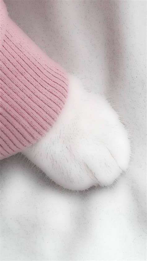 Soft Pink Theme Wallpaper Soft Pink Theme Soft Pink Pink Themes