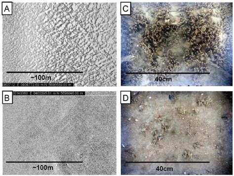 High Resolution 410khz Side Scan Sonar Snap Shot Images Edgetech Download Scientific Diagram
