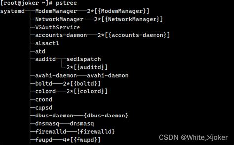 linux进程详解：定义、区别与管理 csdn博客