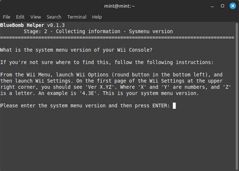 Bluebomb Wii Hacks Guide