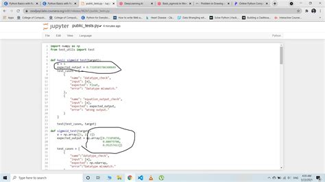 Python Basics With Numpy Assignment Neural Networks And Deep Learning