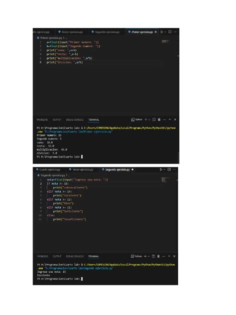 Problemas De Python Pdf