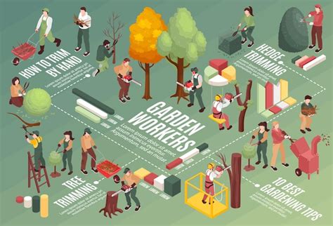 Free Vector Garden Workers Flowchart With Trimming Tips Symbols Isometric Vector Illustration