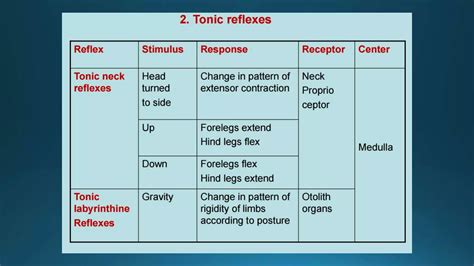 Postural Reflexes Physiology Pptx