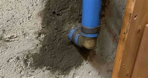 Tree Roots In Plumbing Line Diamond Hydrovac