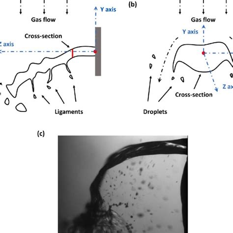 Schematic Of The Liquid Jet In Crossflow A Streamwise Profile Of The