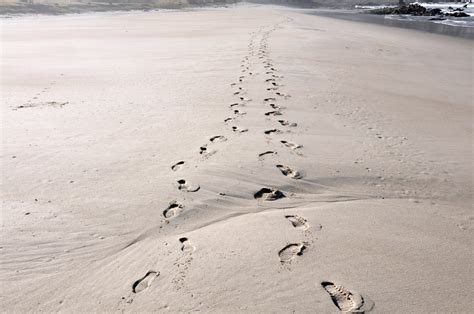 크로노스와 카이로스 한숲교회