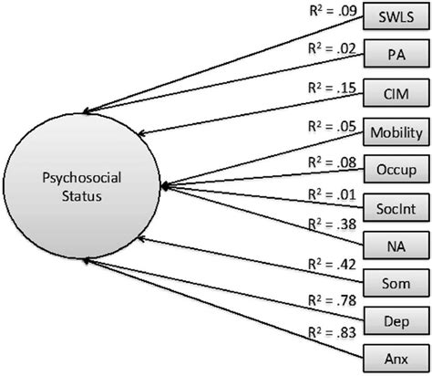 Single Factor Model The Relationships Among The 10 Indicators And One