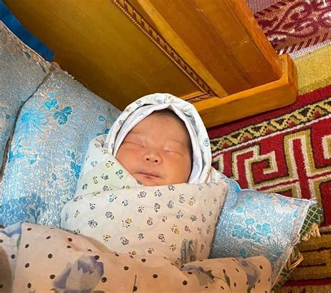 Малчны хотонд Моллай мэндэлжээ ТАС МН