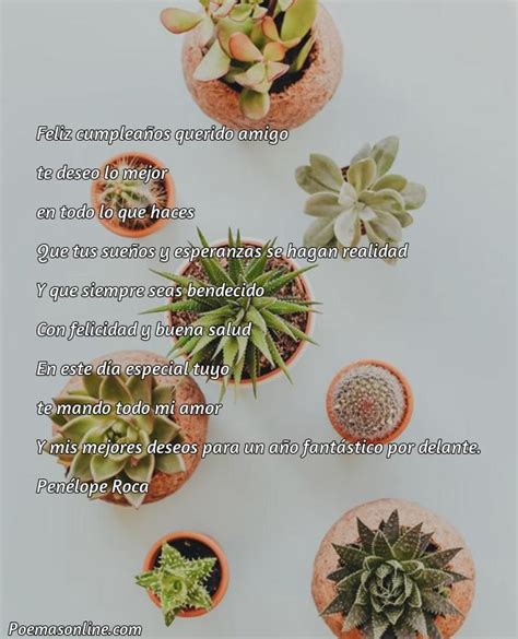 Cinco Mejores Poemas Bonito De Cumplea Os Poemas Online