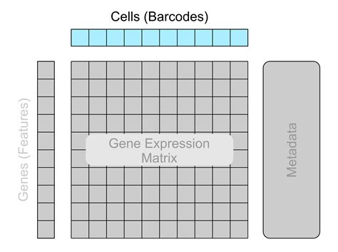 Slides Single Cell Formats And Resources Single Cell Formats And