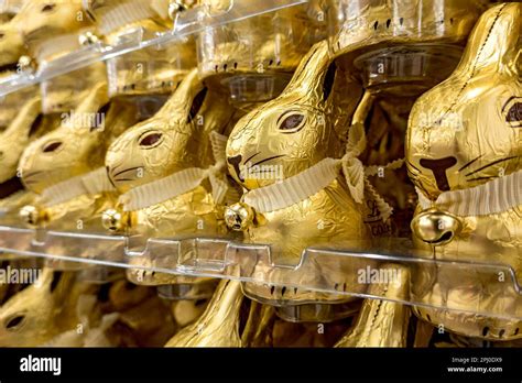 Many Chocolate Easter Bunnies Chocolate Bunnies Lindt Gold Bunnies Pallet In Supermarket