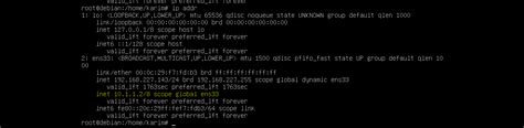 how to assign multiple ip addresses to single lan card in debian 10 vitux