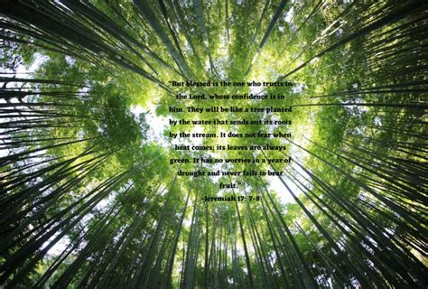 What Are All The Mentions Of Trees Fruits And Plants In The Bible About Anyway Our Blog M