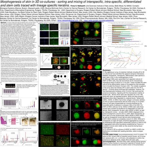 Variable Induction Of In Vitro Morphogenesis Of Skin By Evolutionary