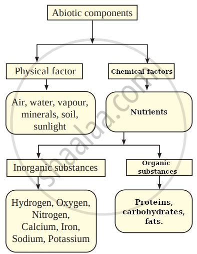 Complete The Following Chart Related To The Components Of The Ecosystem Science And