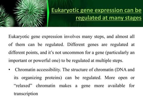 Eukaryotic Gene Expression Ppt