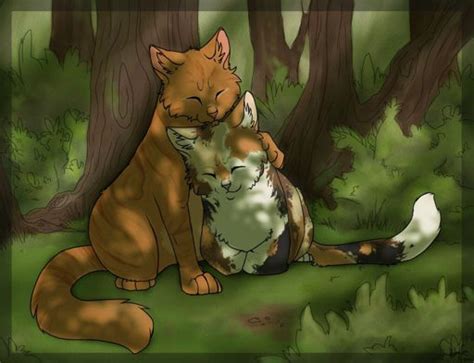 Top Ten Warrior Cat Couples Warriors Amino