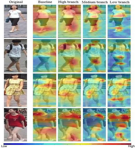 Visualization Results Of Feature Activation Map Download Scientific