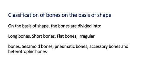 Solution Classification Of Bones Studypool
