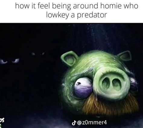 Realistic Angry Birds Meme Imgflip