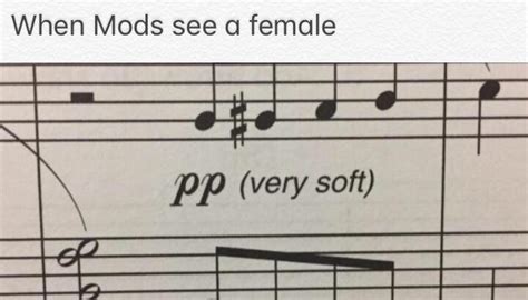 Pp Very Soft Know Your Meme