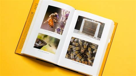 Honey Bee Biology Veldshopnl