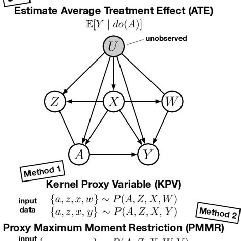 The Causal Proxy Estimation Problem And Two Methods We Introduce To